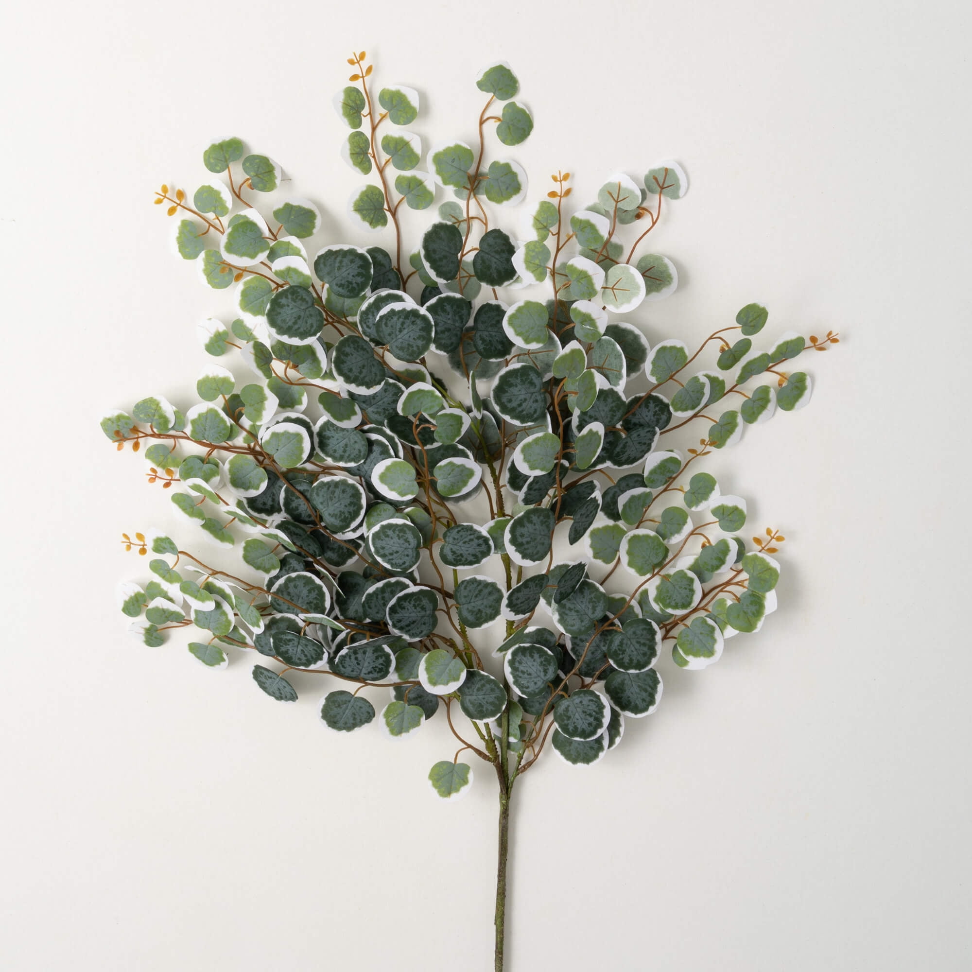 Sullivans 38" Artificial Variegated Eucalyptus Spray - Walmart.com