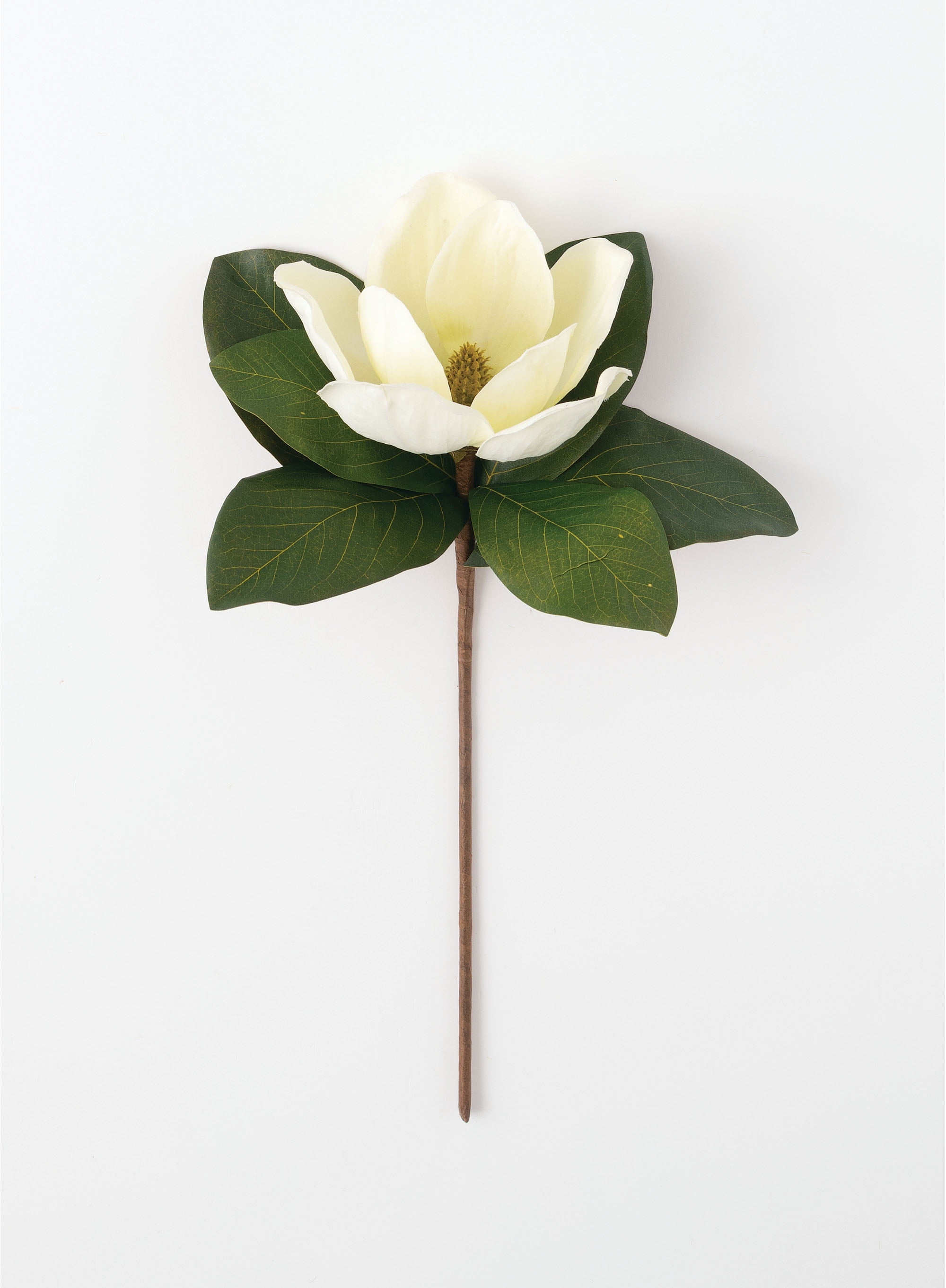 Sullivans Artificial Magnolia Stem 18.5"H Cream - Walmart.com