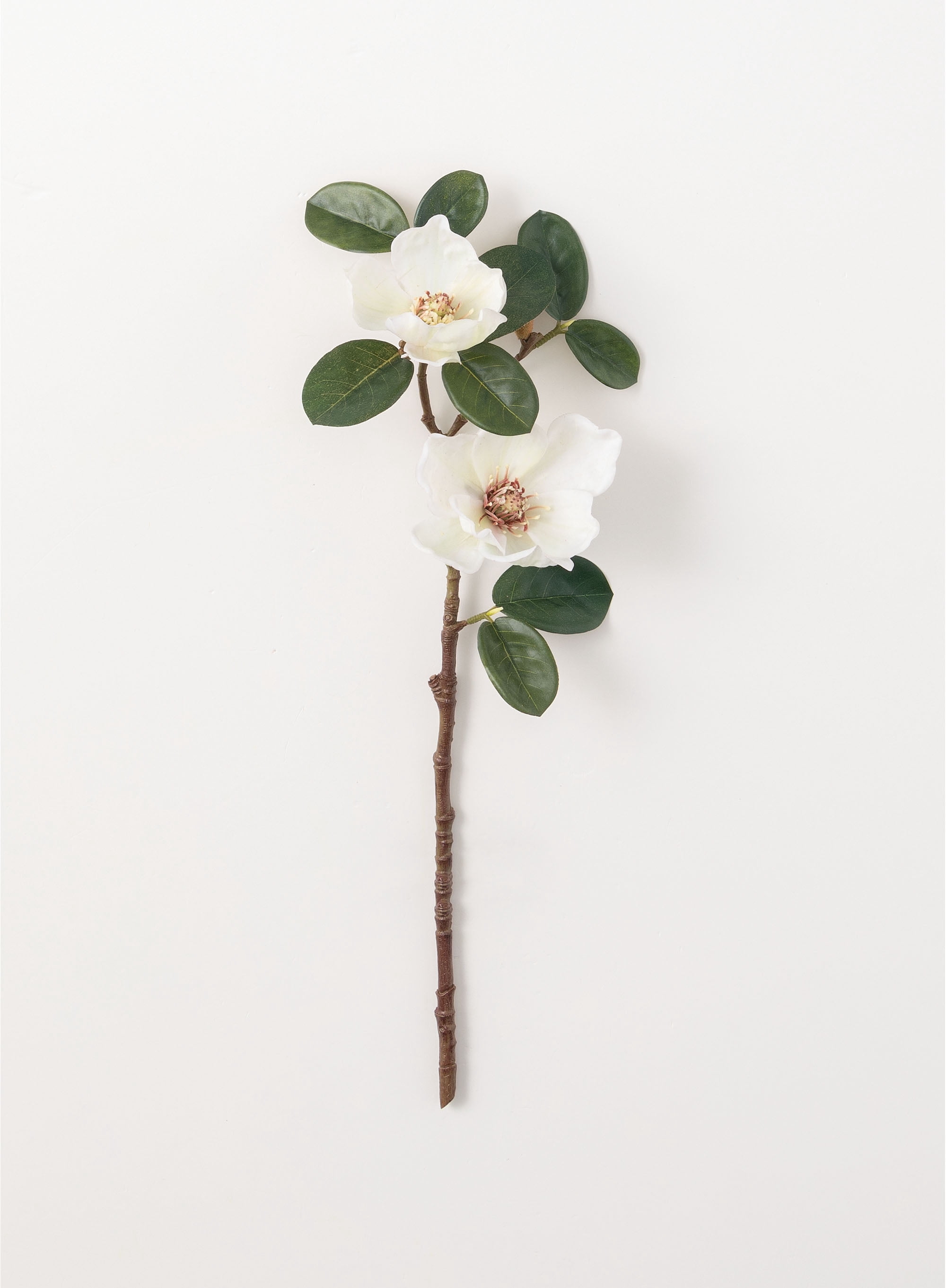 Sullivans Artificial Magnolia Stem 19"H White Flowers - Walmart.com