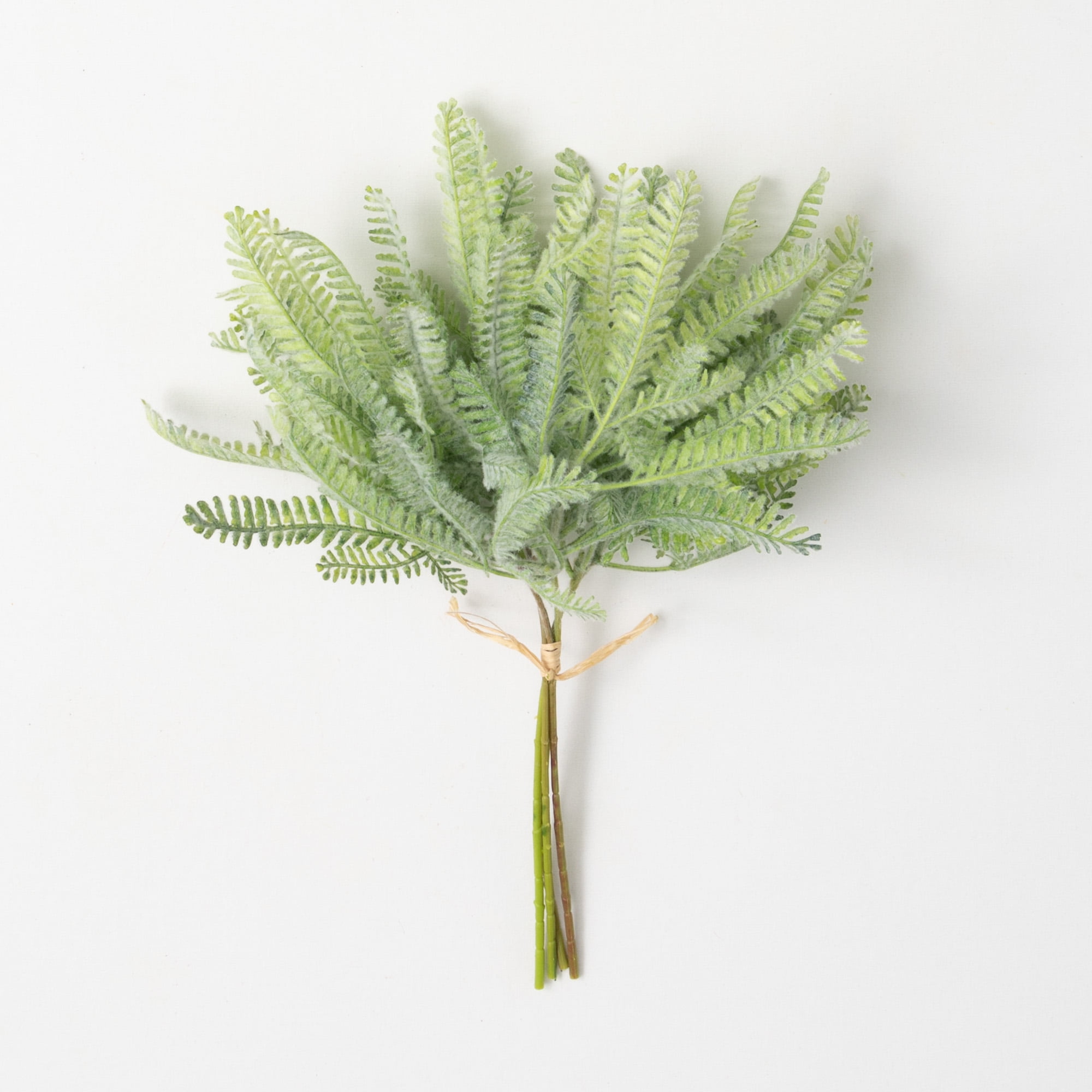 Sullivans Artificial Mini Mint Green Fern Bush 16"H Green - Walmart.com