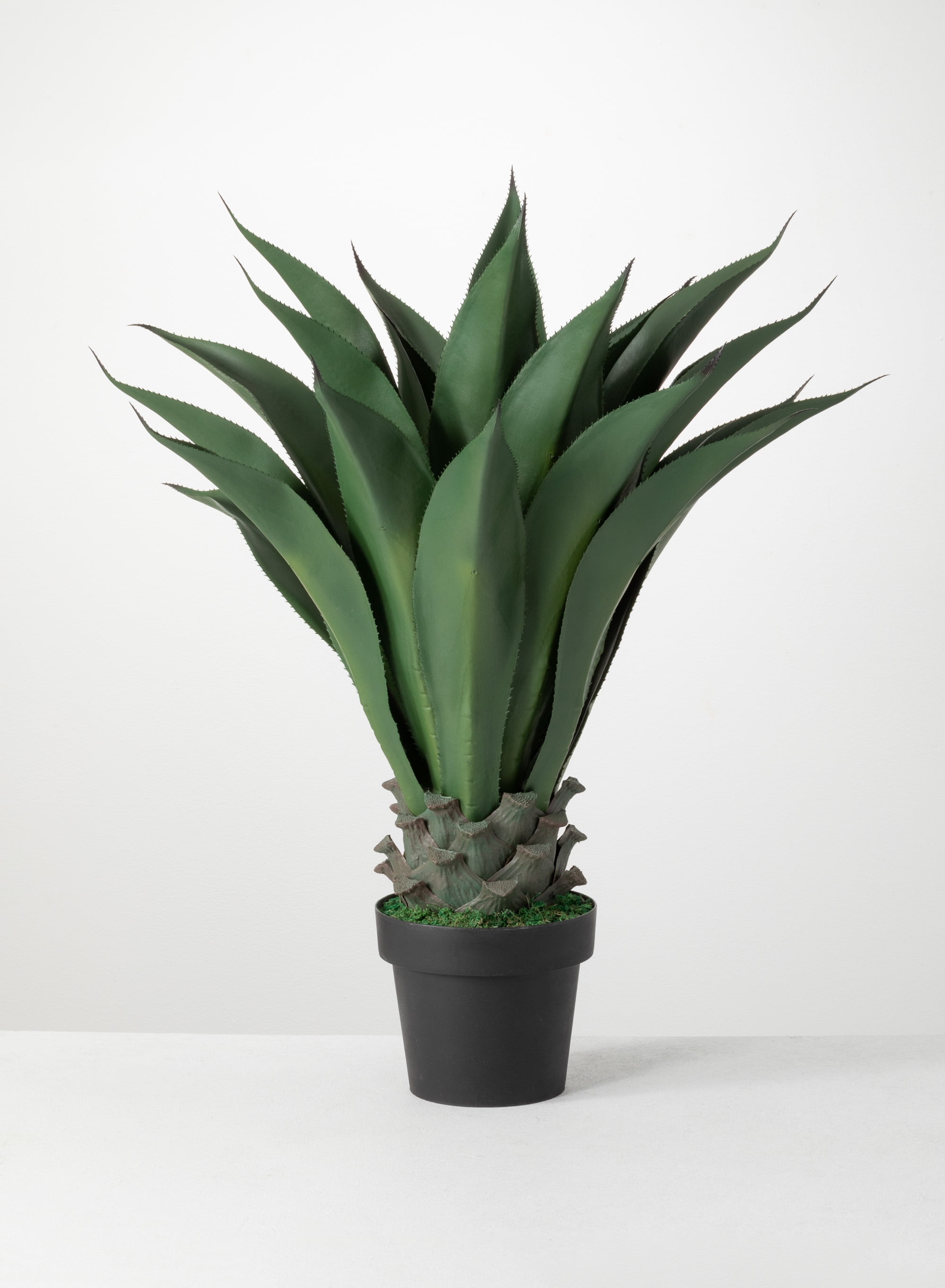 Sullivans Artificial Potted Agave 33"H Green - Walmart.com