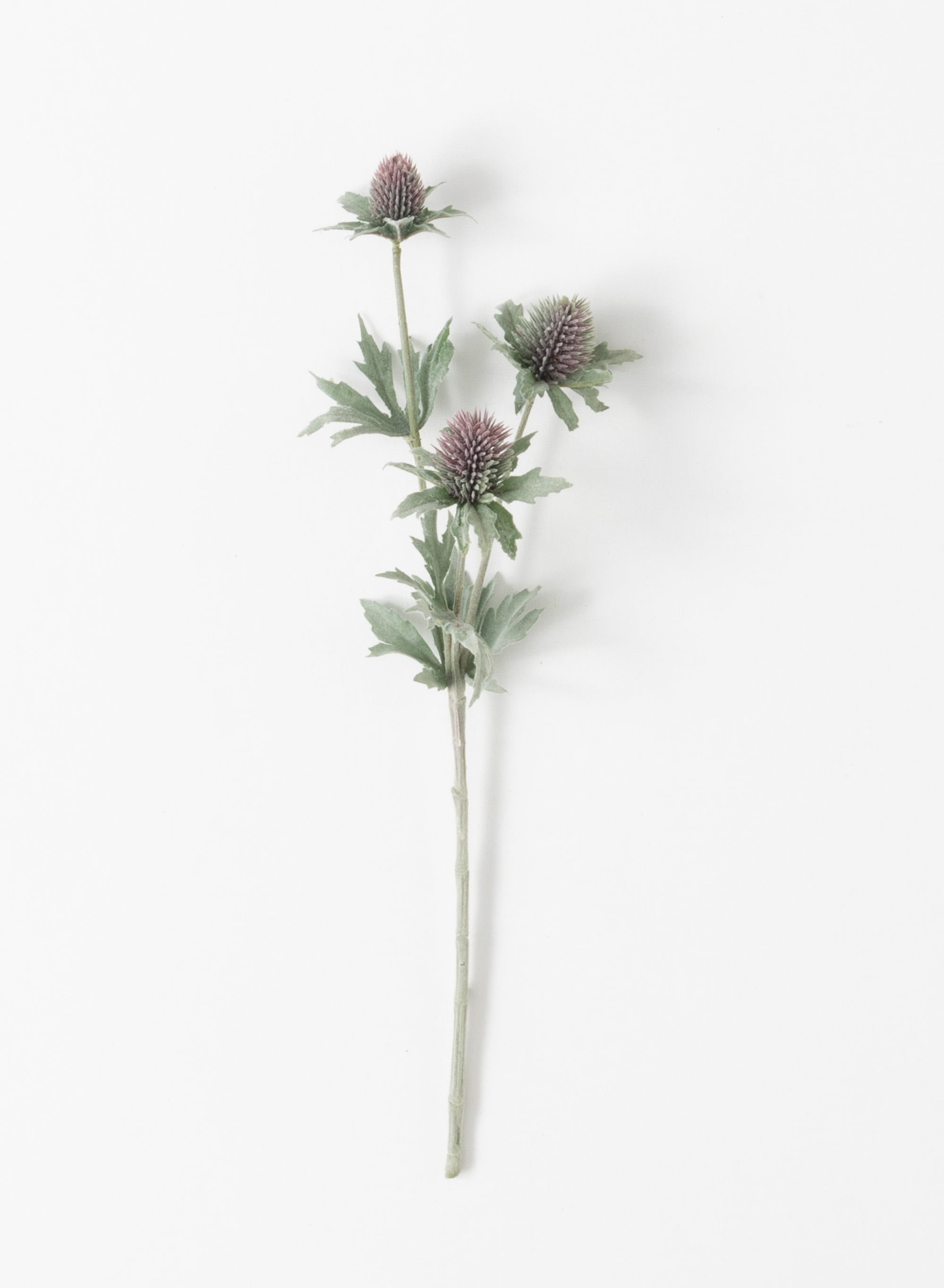 Sullivans Artificial Thistle Stem 17"H Green - Walmart.com