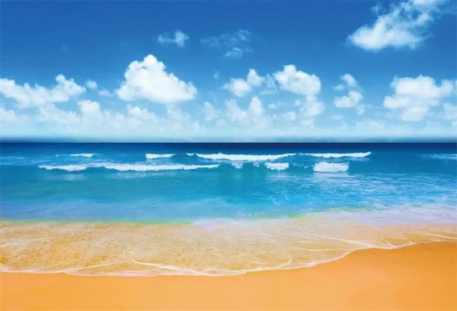 Summer Backdrops For Photography Tropical Sea Beach Sand Coast Blue Sky ...