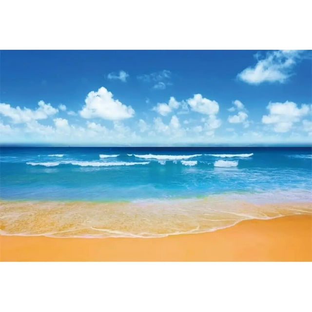 Summer Backdrops For Photography Tropical Sea Beach Sand Coast Blue Sky ...