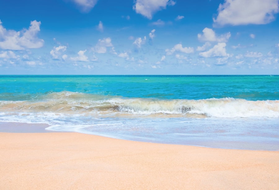 Summer Backdrops For Photography Tropical Sea Beach Sand Coast Blue Sky ...