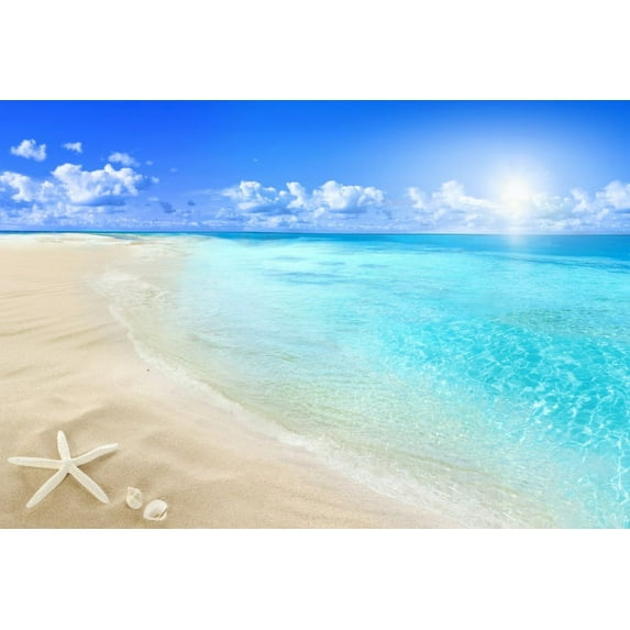 Summer Backdrops For Photography Tropical Sea Beach Sand Coast Blue Sky ...