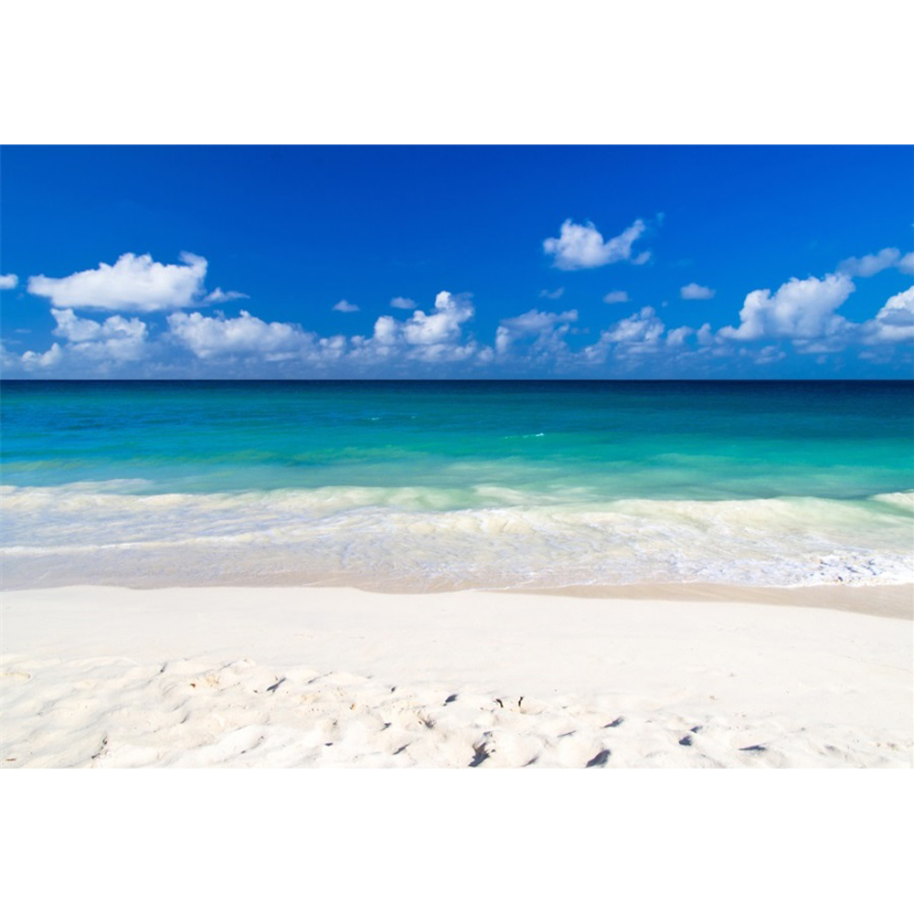 Summer Beach Backdrop Surfboard Van Palm Tree Holiday Seaside ...