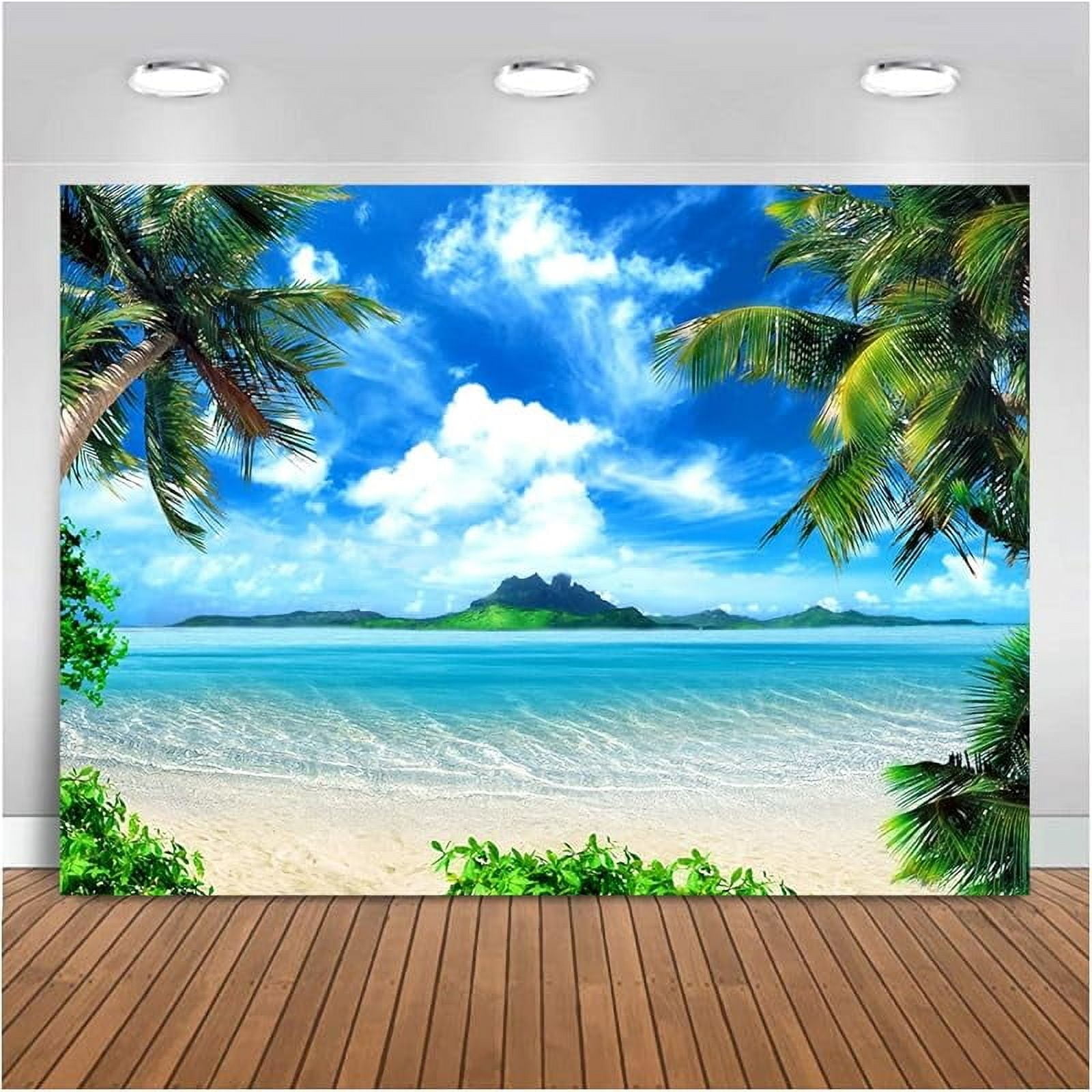Summer Beach Theme Photo Hawaiian Ocean Blue Sky Seaside Tropical Palm ...