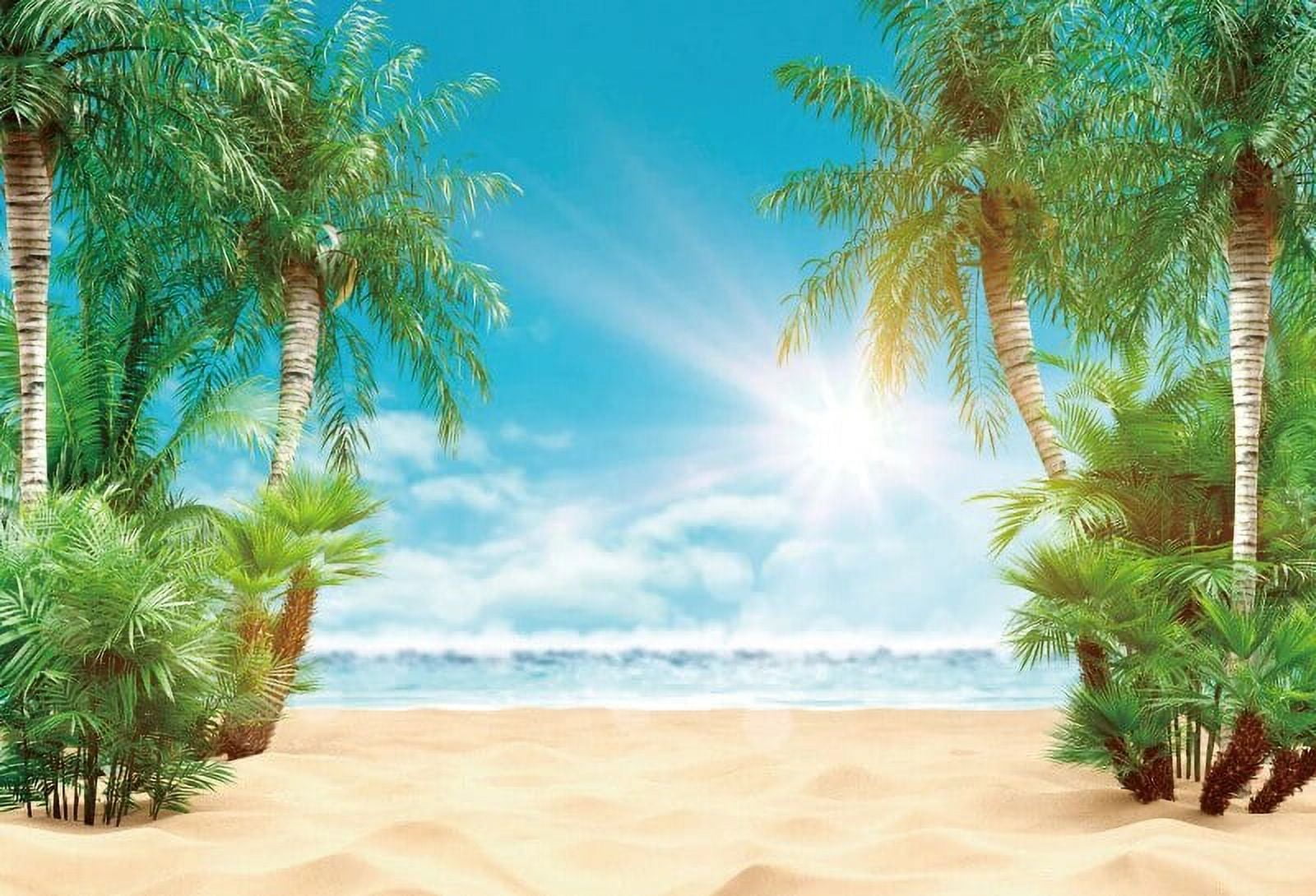 Summer Cloud Blue Sky Seaside Beach Palms Tree Natural Scenery Backdrop ...