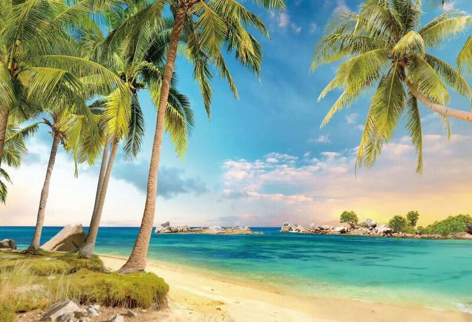 Summer Cloud Blue Sky Seaside Beach Palms Tree Natural Scenery Backdrop ...