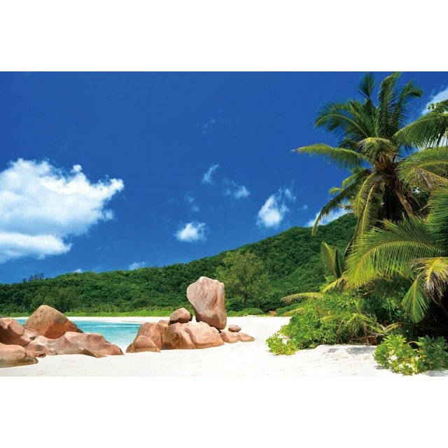 Summer Cloud Blue Sky Seaside Beach Palms Tree Natural Scenery Backdrop ...