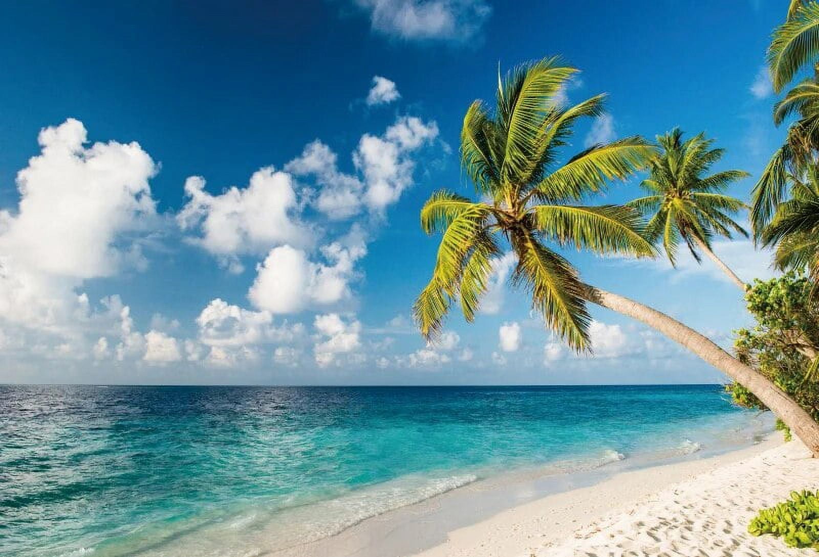 Summer Cloud Blue Sky Seaside Beach Palms Tree Natural Scenery Backdrop ...