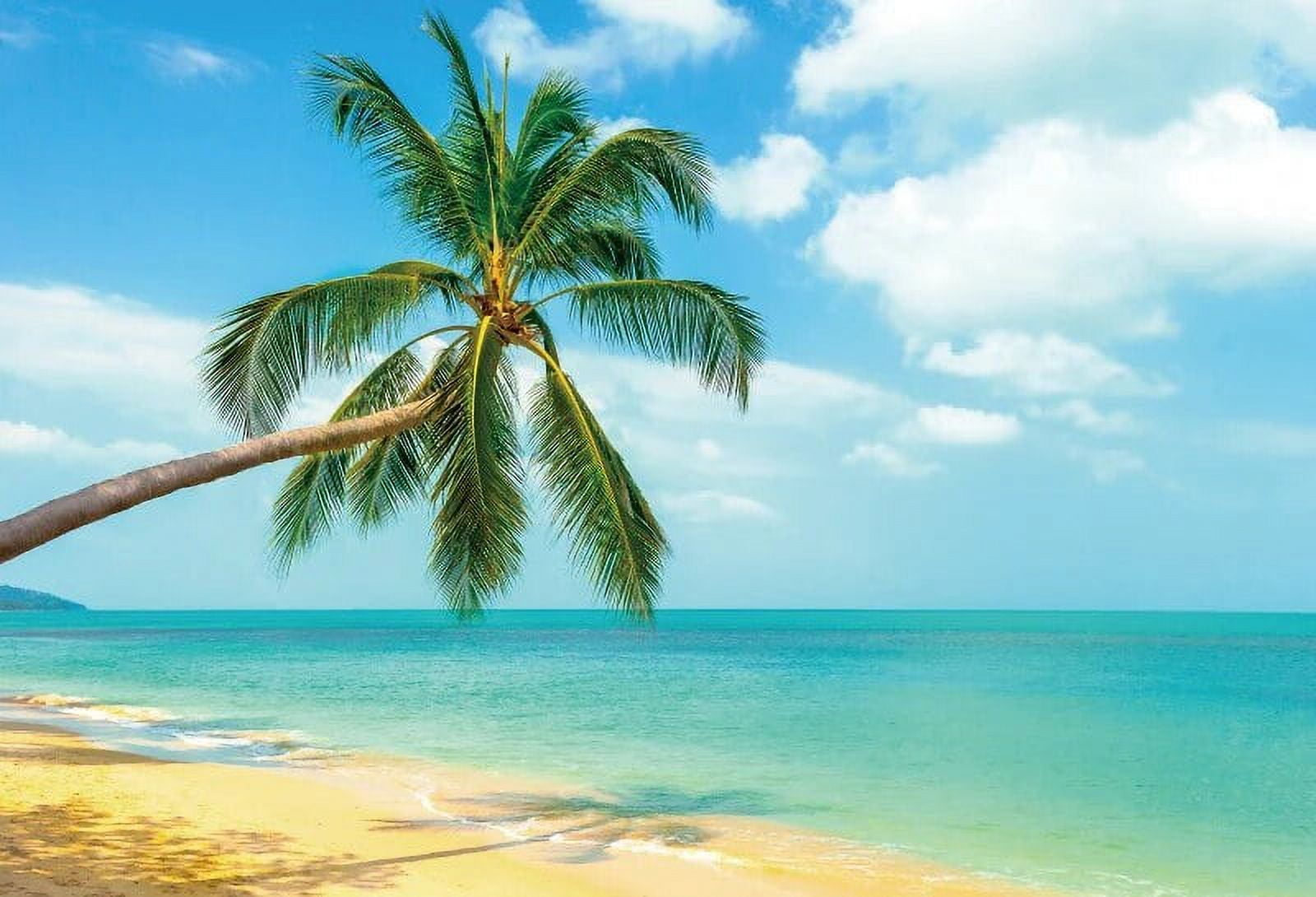 Summer Cloud Blue Sky Seaside Beach Palms Tree Natural Scenery Backdrop ...