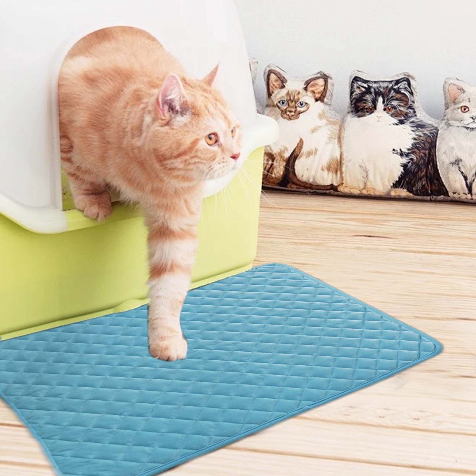 Summer Cool Mat Sleeping Pad Water Absorption Top Bottom Materials Safe ...