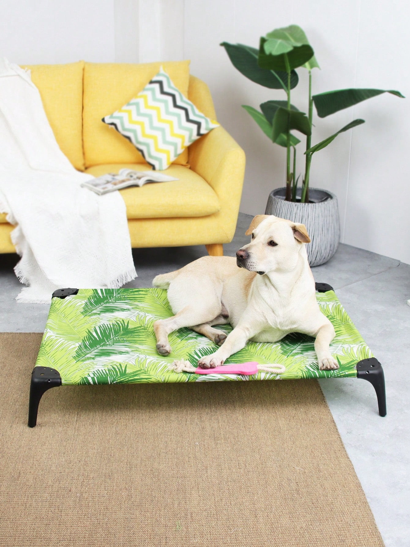 Summer Coolingbed for Large Dogs, Outdoor Indestructible Elevated Dog ...