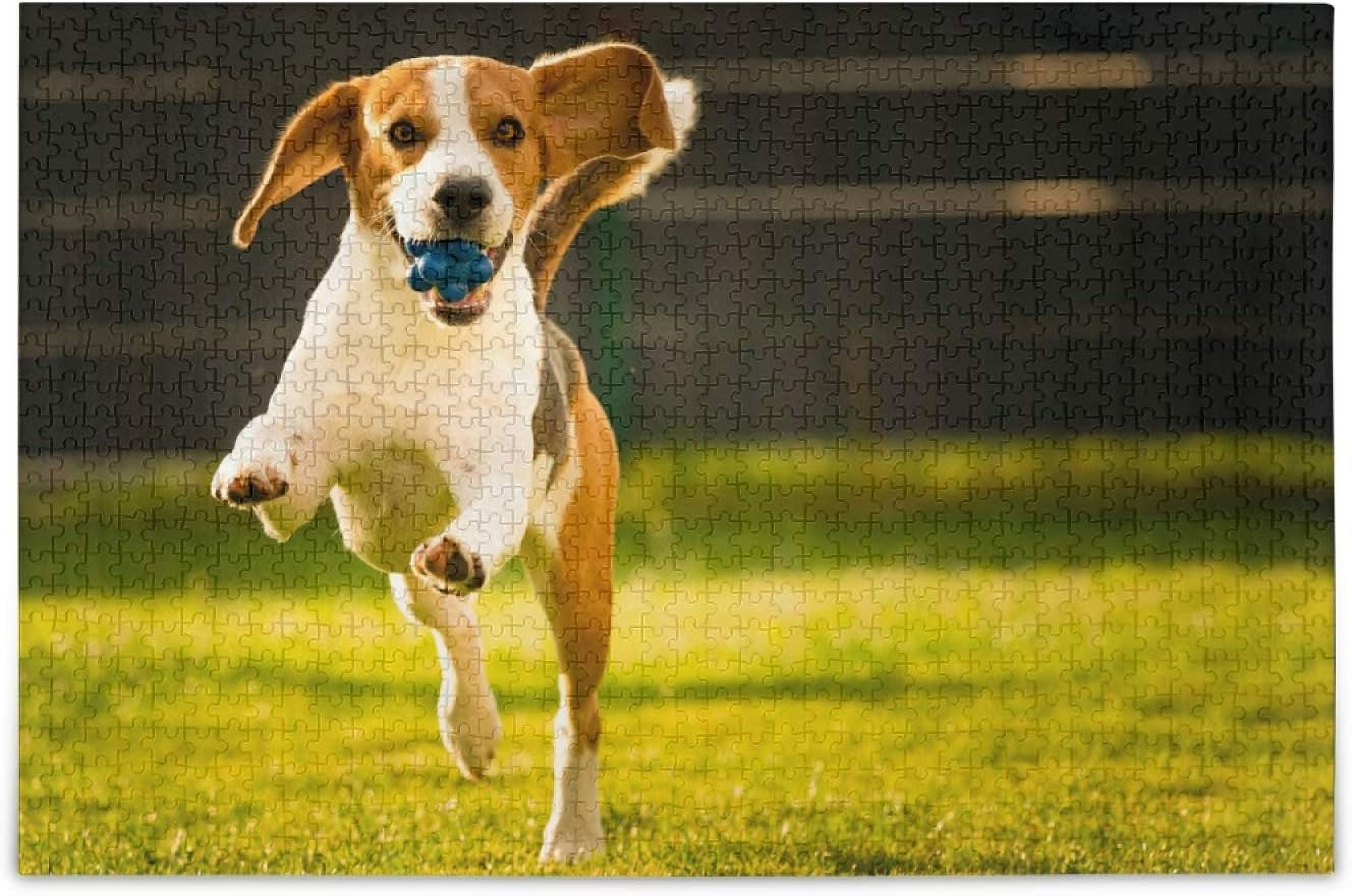 Summer Dog Beagle Runs Puzzle for Adults 1000 Piece Puzzles Game DIY ...
