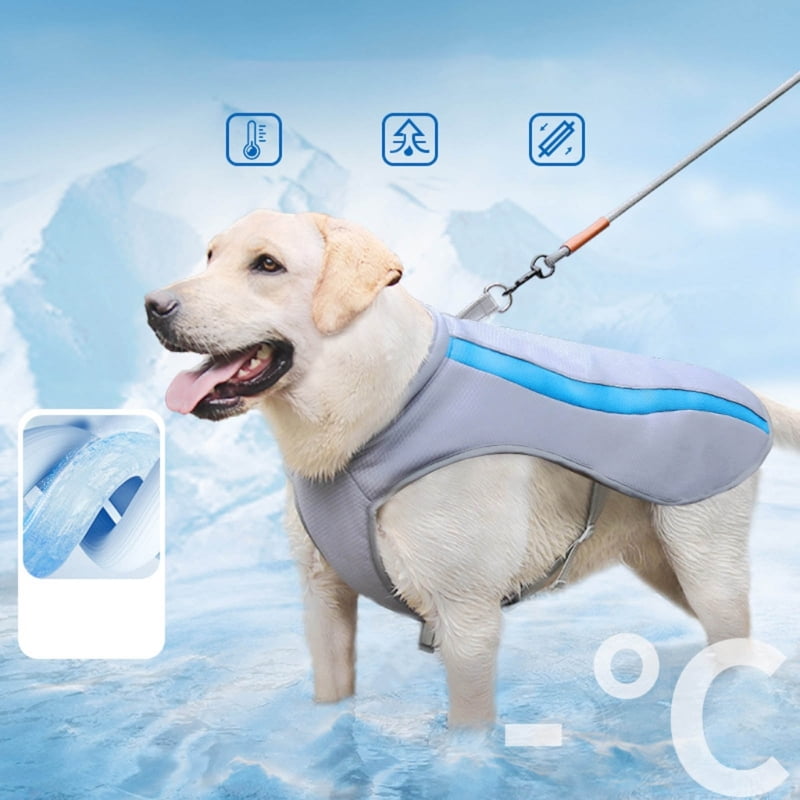 Summer Dogs Cooling Jackets with Harness Buckle Dogs Outdoor Cooling ...