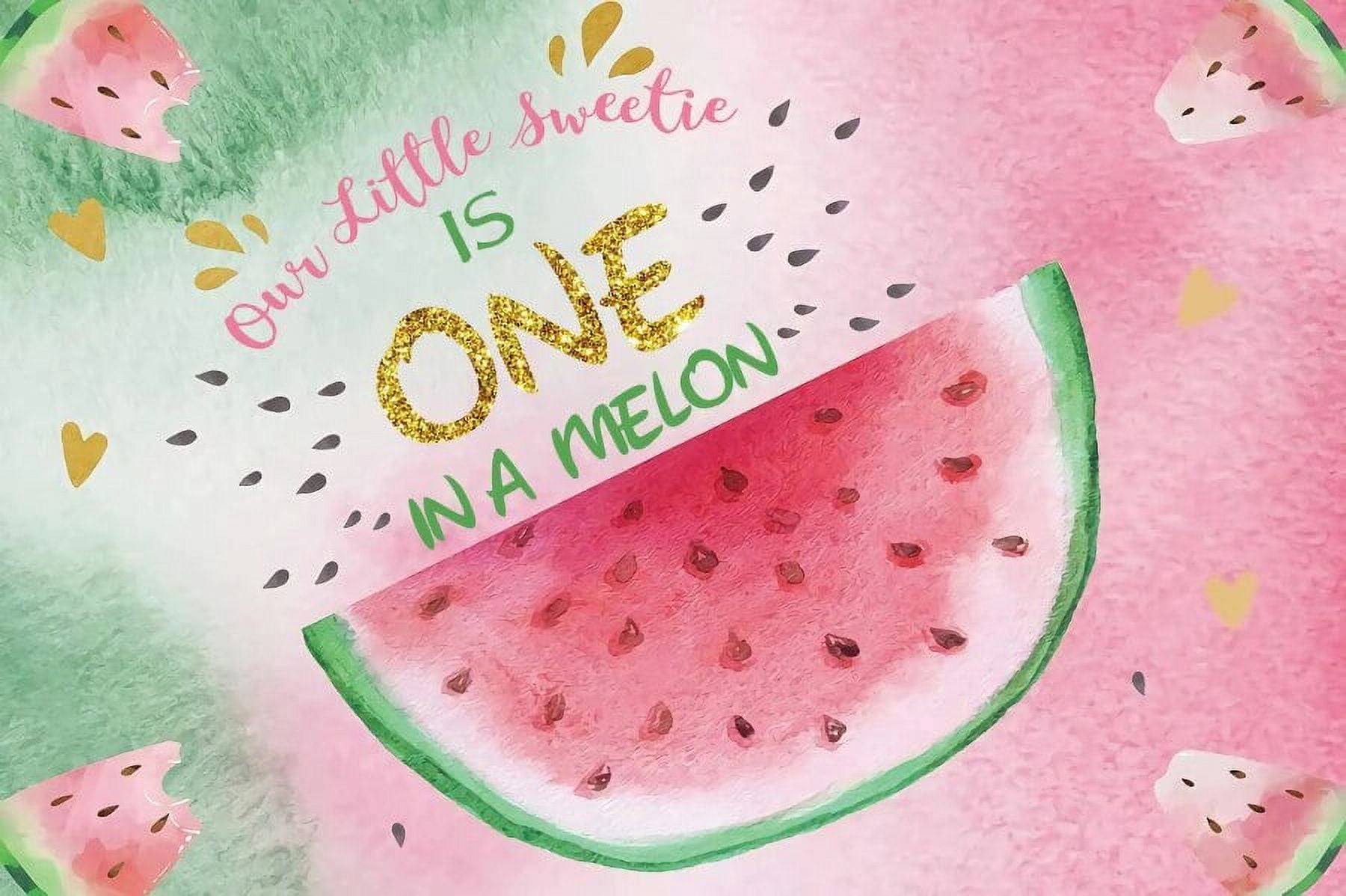 Summer Fruit Watermelon Birthday Backdrop One in a Melon Girls Kid Baby ...
