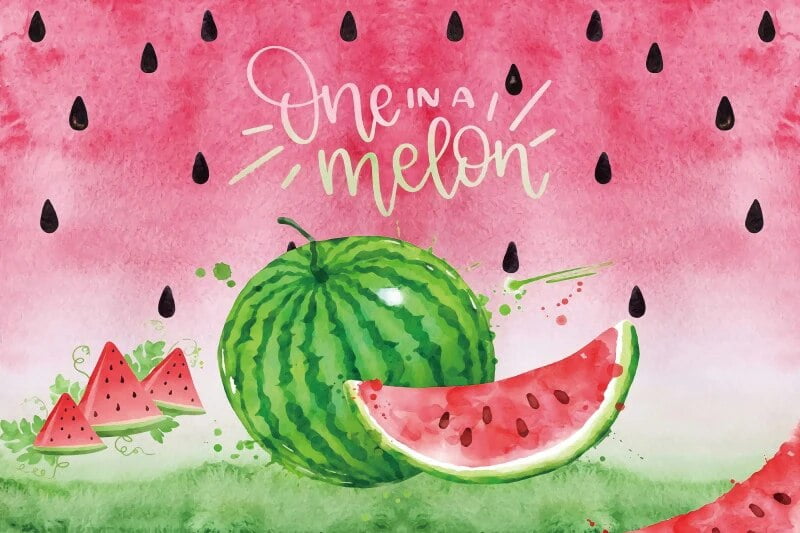 Summer Fruit Watermelon One in a Melon Photography Pink Melon Backdrop ...