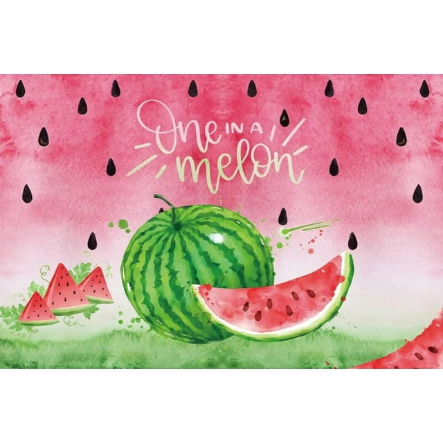 Summer Fruit Watermelon One in a Melon Photography Pink Melon Backdrop ...