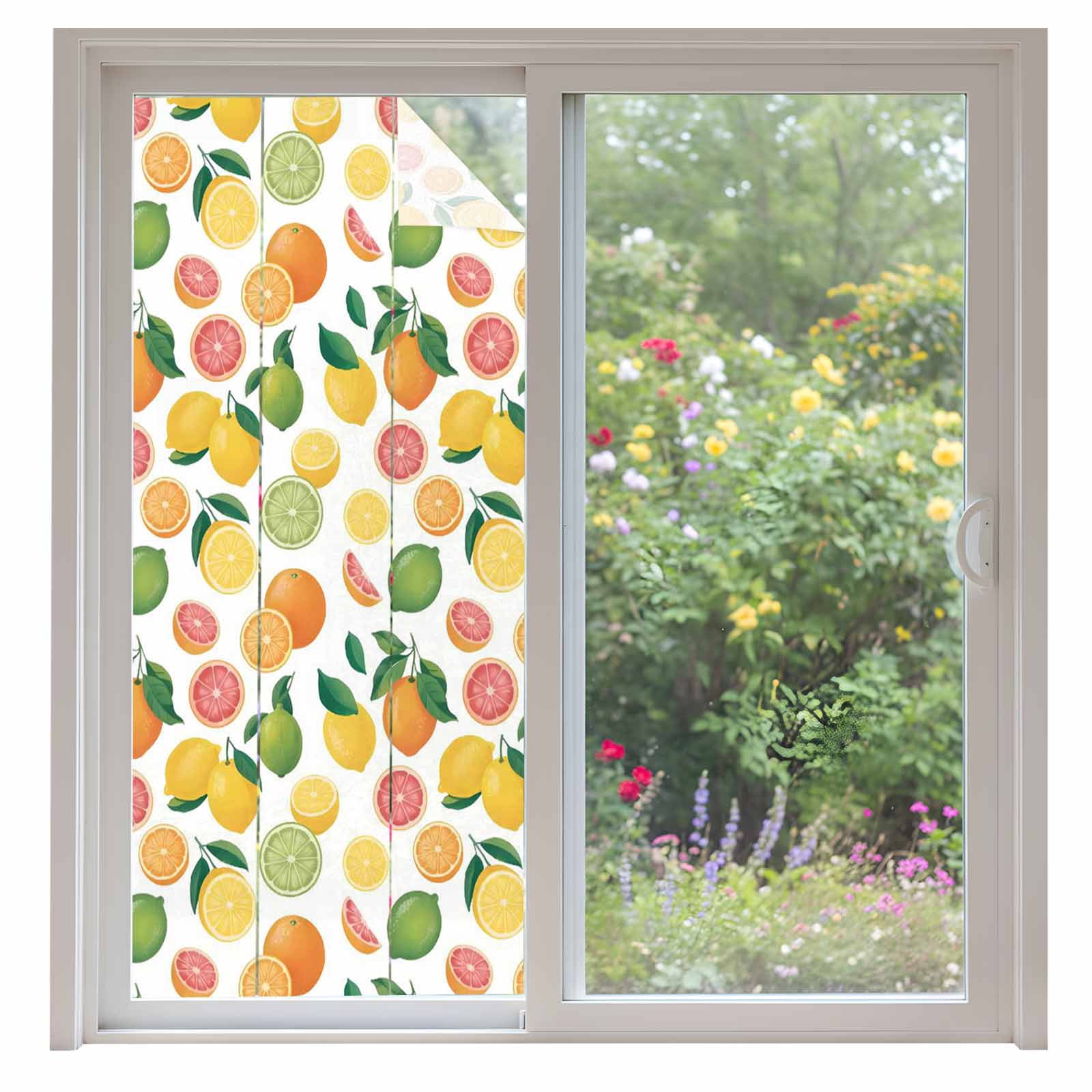Summer Fruit Window Privacy Film, Watercolor Lemon Oranges Rustic ...