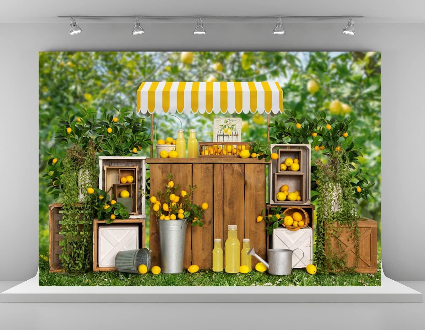 Summer Lemon Shop Cute Backdrops for Photography Lemonade Theme Party ...