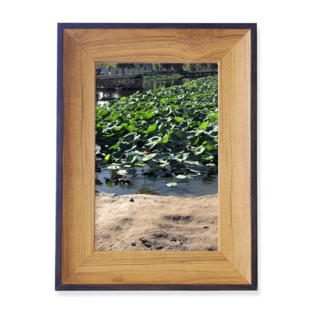 Summer Lotus Lake Photo Frame Exhibition Display Art Desktop Painting ...