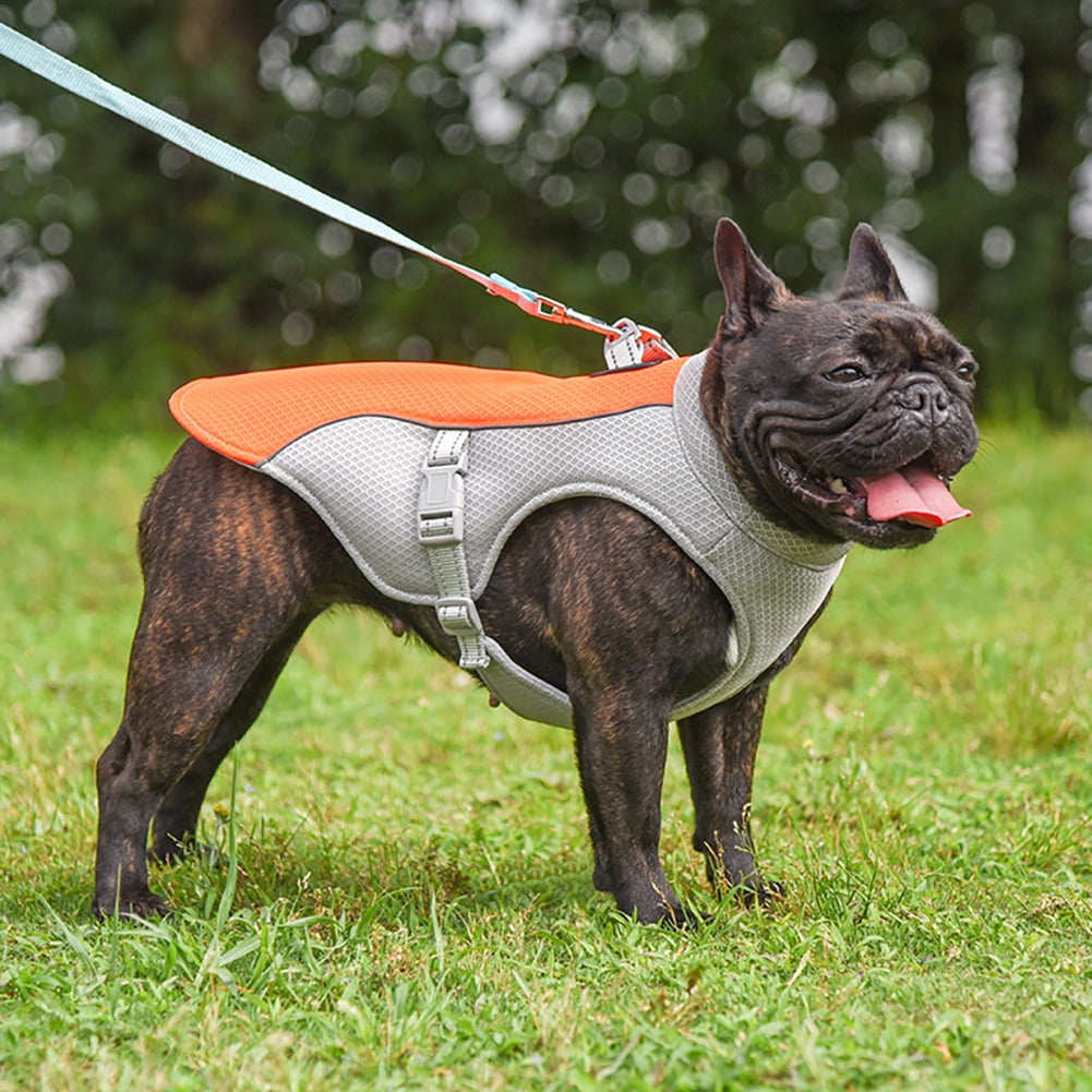 Summer Pet Dog Cooling Vest Breathable Heatstroke Reflective Dogs ...