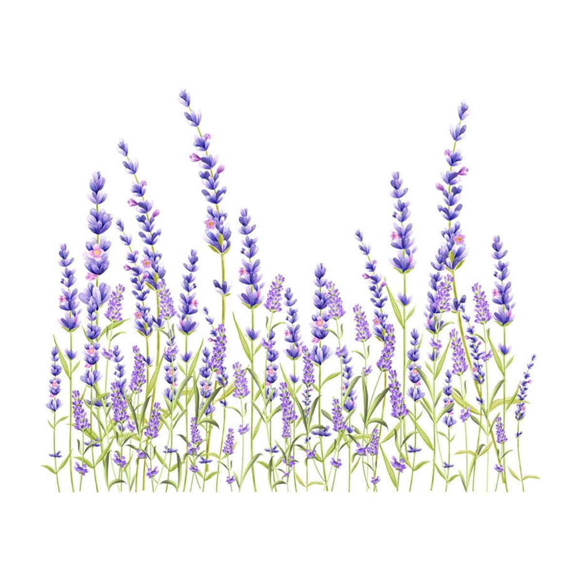 Zeceouar One-meter Wall Stickers Plant Flowers Lavender Wall Stickers ...