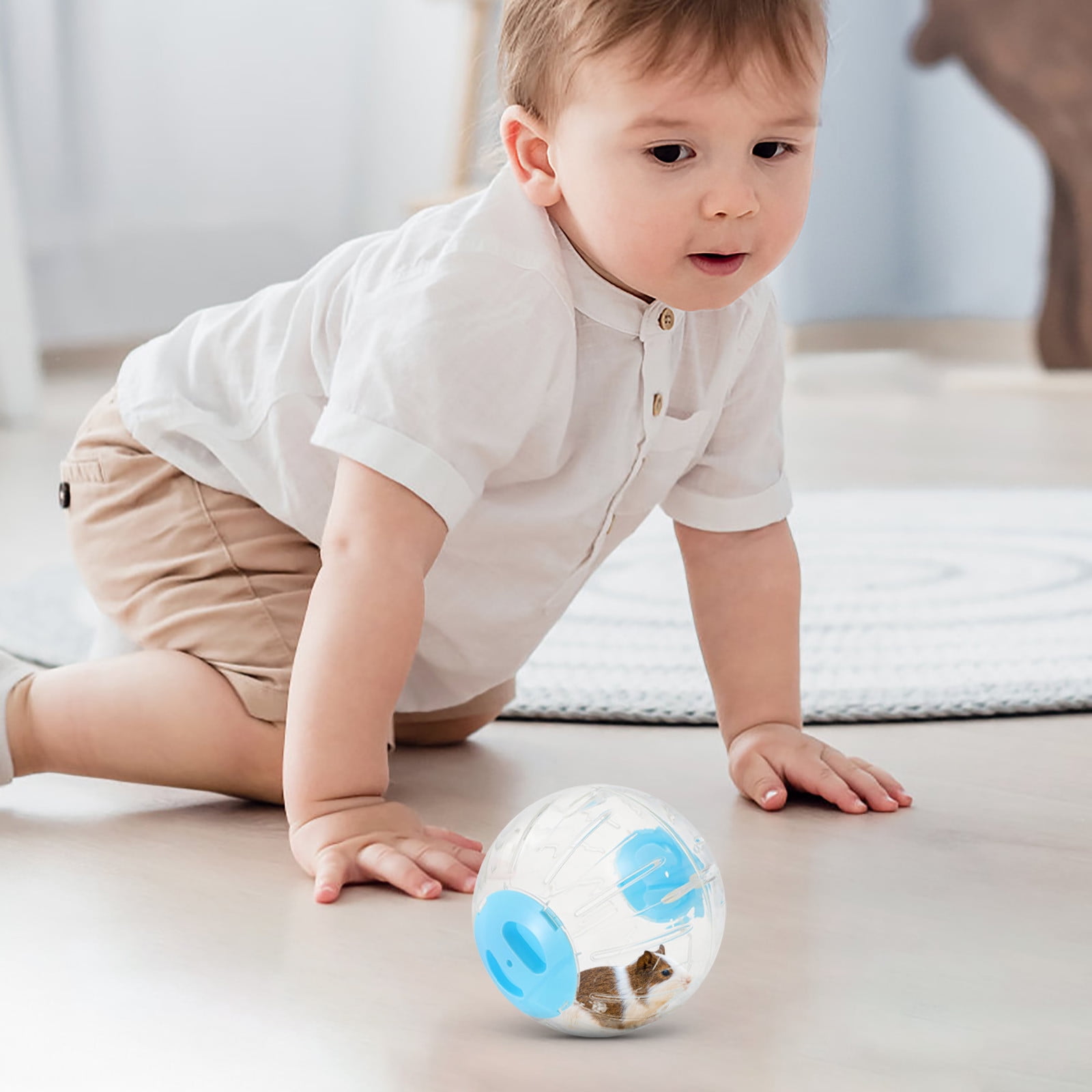 Summer Savings! Hamster Ball with Tracks, Exercise Balls Fitness Ball ...