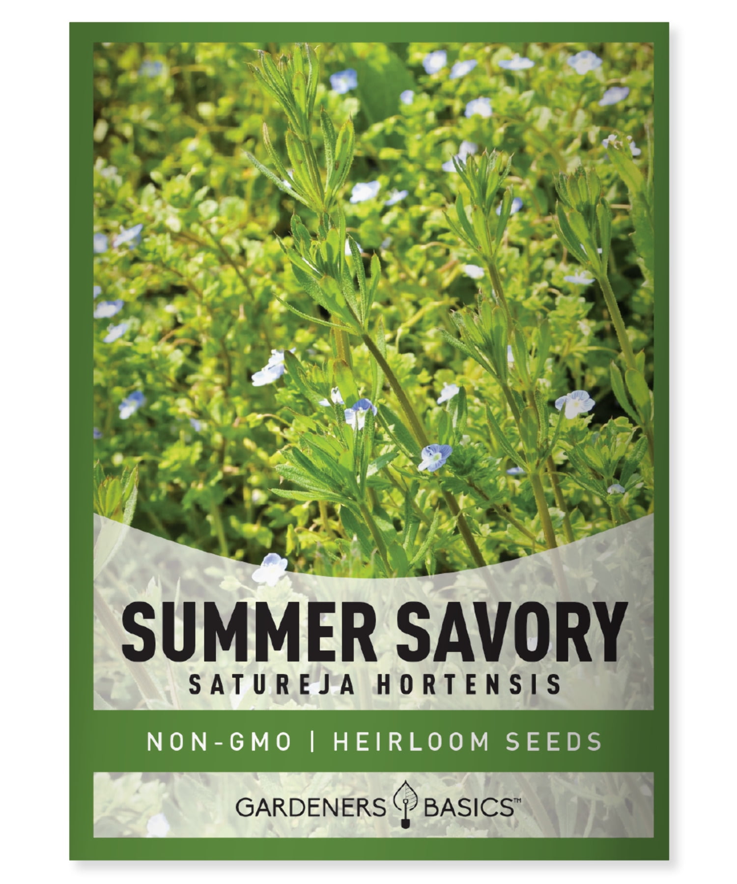 Summer Savory Seeds - Walmart.com