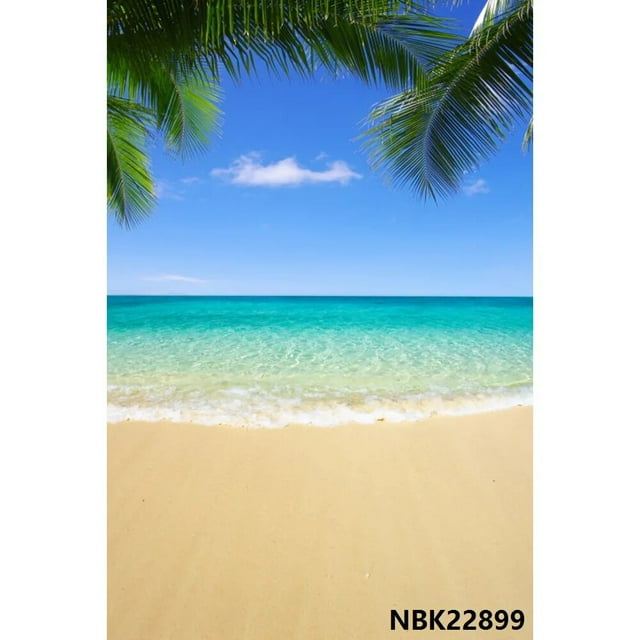 Summer Sea Backdrops Blue Sky White Clouds Beach Palms Trees Baby ...