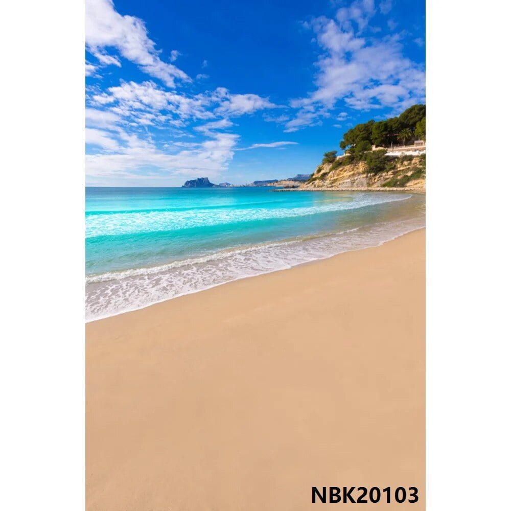 Summer Sea Backdrops Blue Sky White Clouds Beach Palms Trees Baby ...