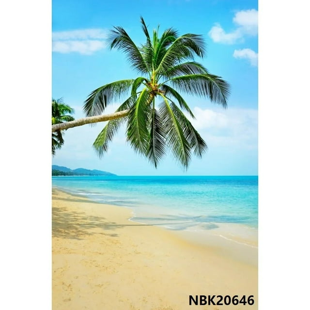 Summer Sea Backdrops Blue Sky White Clouds Beach Palms Trees Baby ...