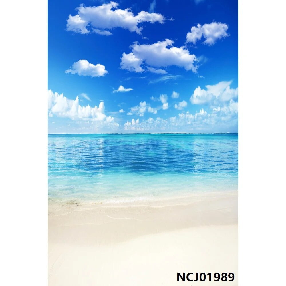 Summer Sea Backdrops Blue Sky White Clouds Beach Palms Trees Baby ...