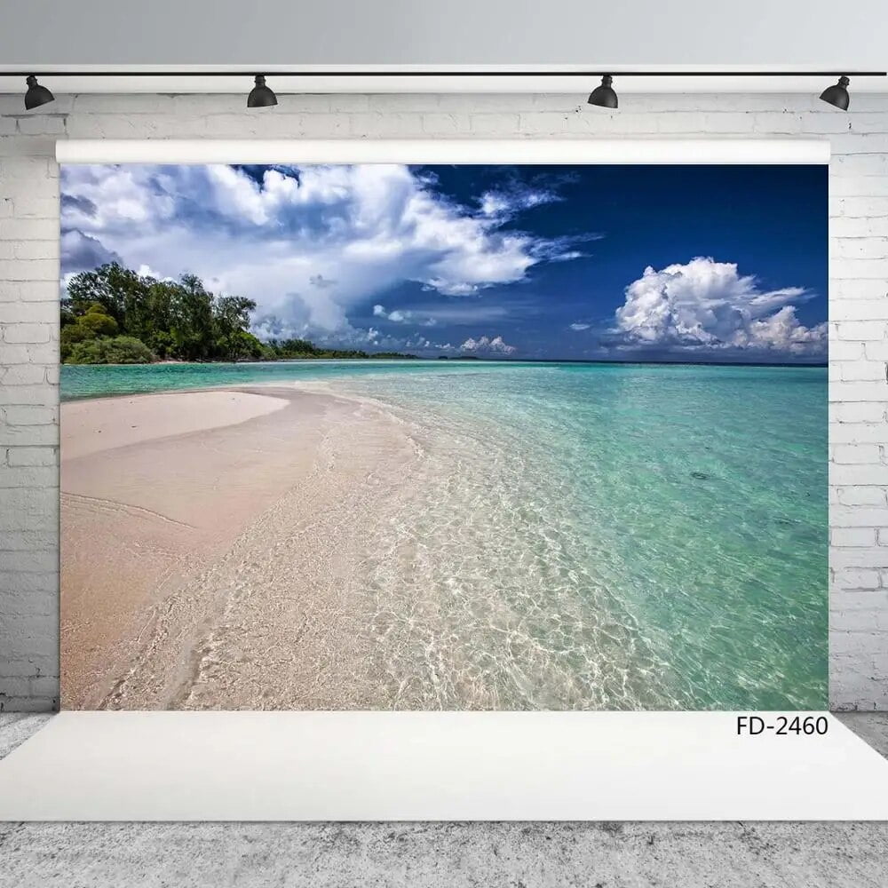 Summer Sea Green Ocean Sky Cloud Beach Scenery Portrait Children ...