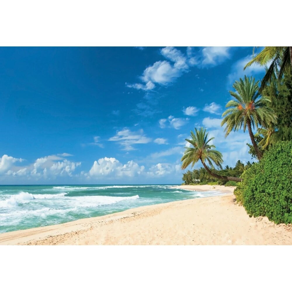 Summer Sea Ocean Backdrops For Photography Seabed Seaside Beach Nature ...