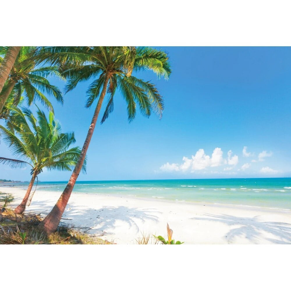 Summer Sea Ocean Backdrops For Photography Seabed Seaside Beach Nature ...