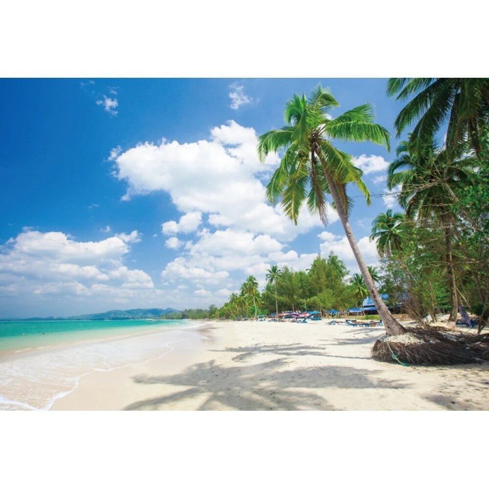 Summer Sea Ocean Backdrops For Photography Seabed Seaside Beach Nature ...