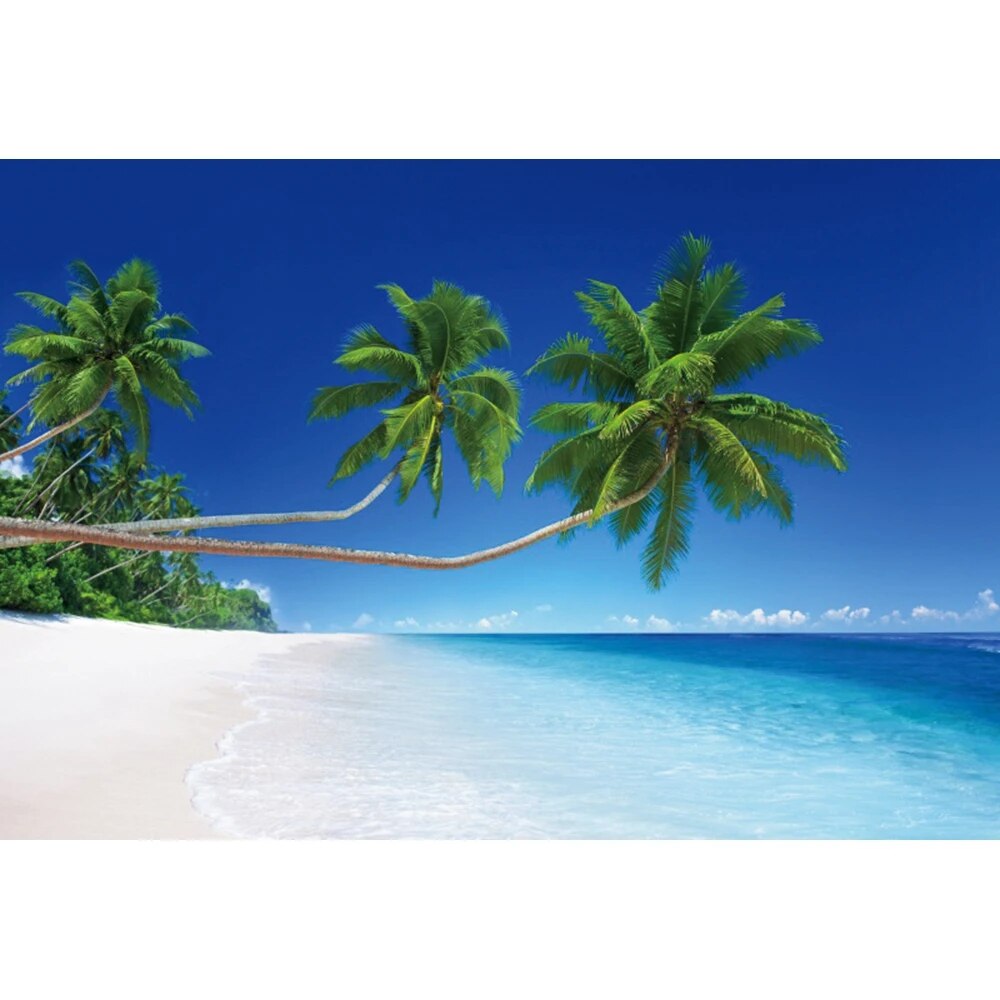Summer Sea Ocean Backdrops For Photography Seabed Seaside Beach Nature ...