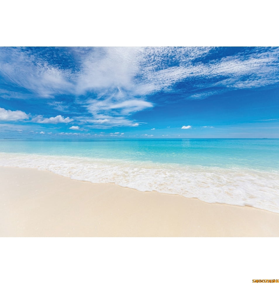 Summer Seaside Backdrop Sea Ocean Palm Tree Leaves Aloha Beach Party ...