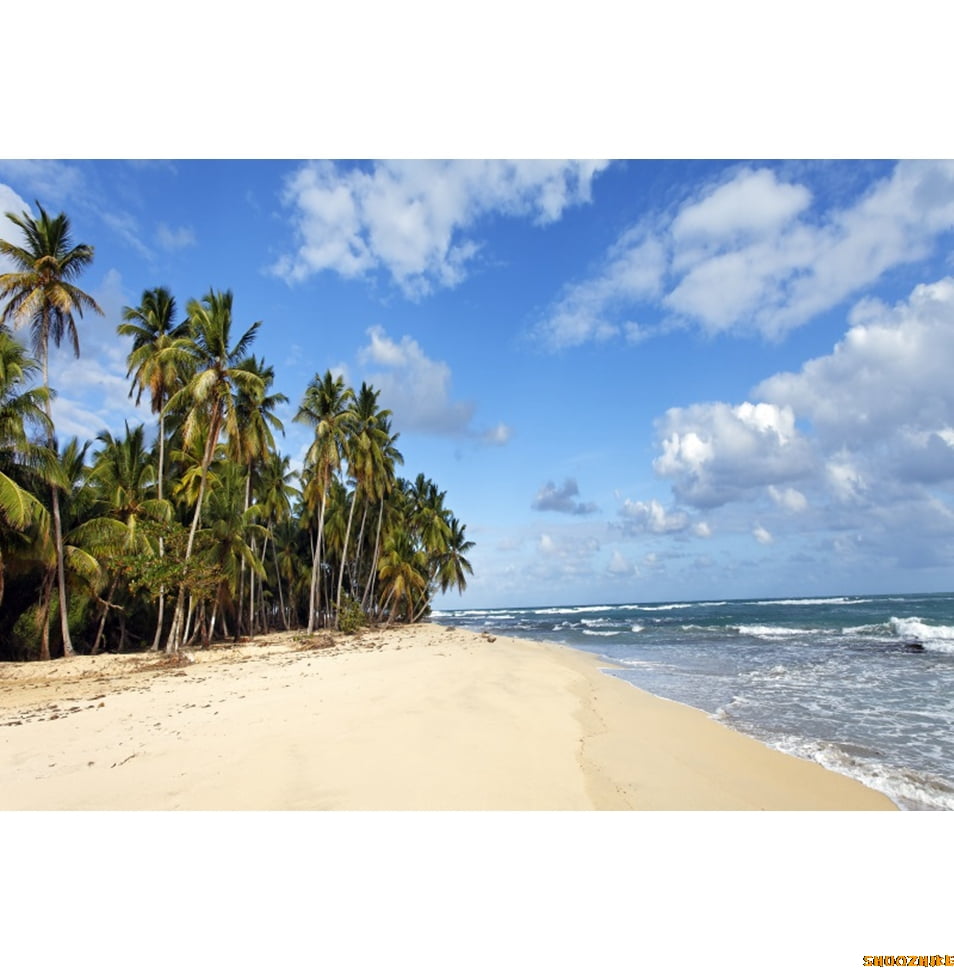 Summer Seaside Backdrop Sea Ocean Palm Tree Leaves Aloha Beach Party ...