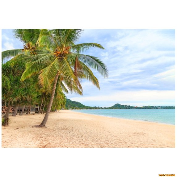Summer Seaside Backdrop Sea Ocean Palm Tree Leaves Aloha Beach Party ...