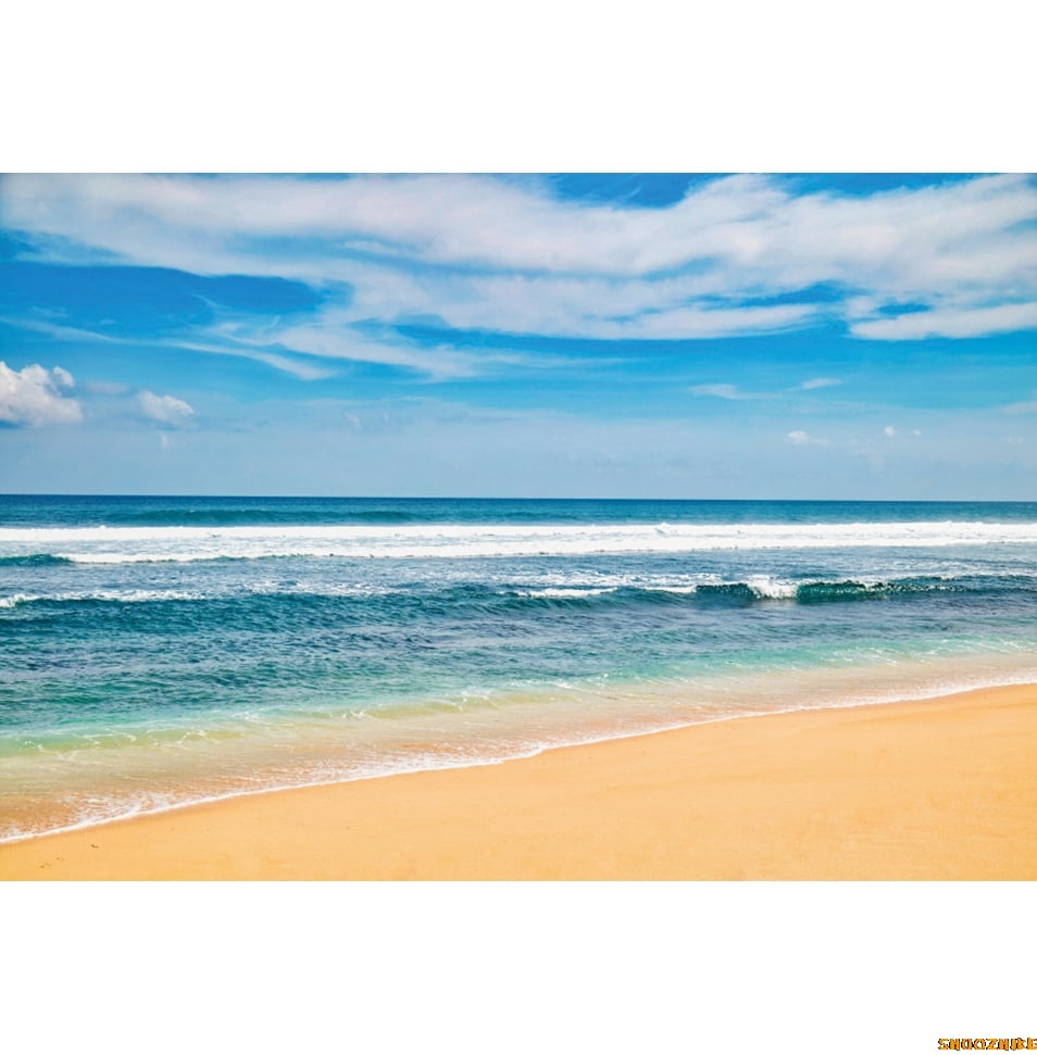 Summer Seaside Backdrop Sea Ocean Palm Tree Leaves Aloha Beach Party ...