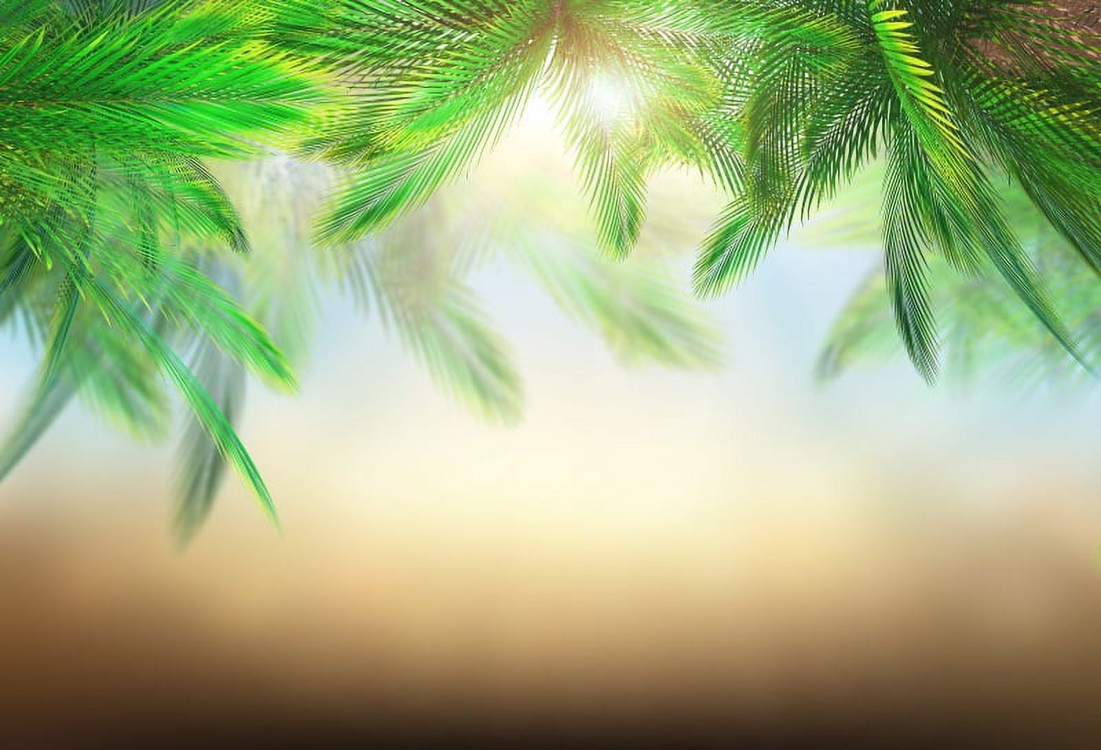 Summer Seaside Background Sunny Beach Blue Sky Cruise Tropical Palms ...