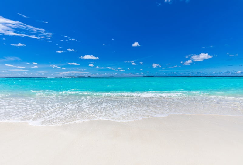 Summer Seaside Background Sunny Beach Blue Sky Cruise Tropical Palms ...
