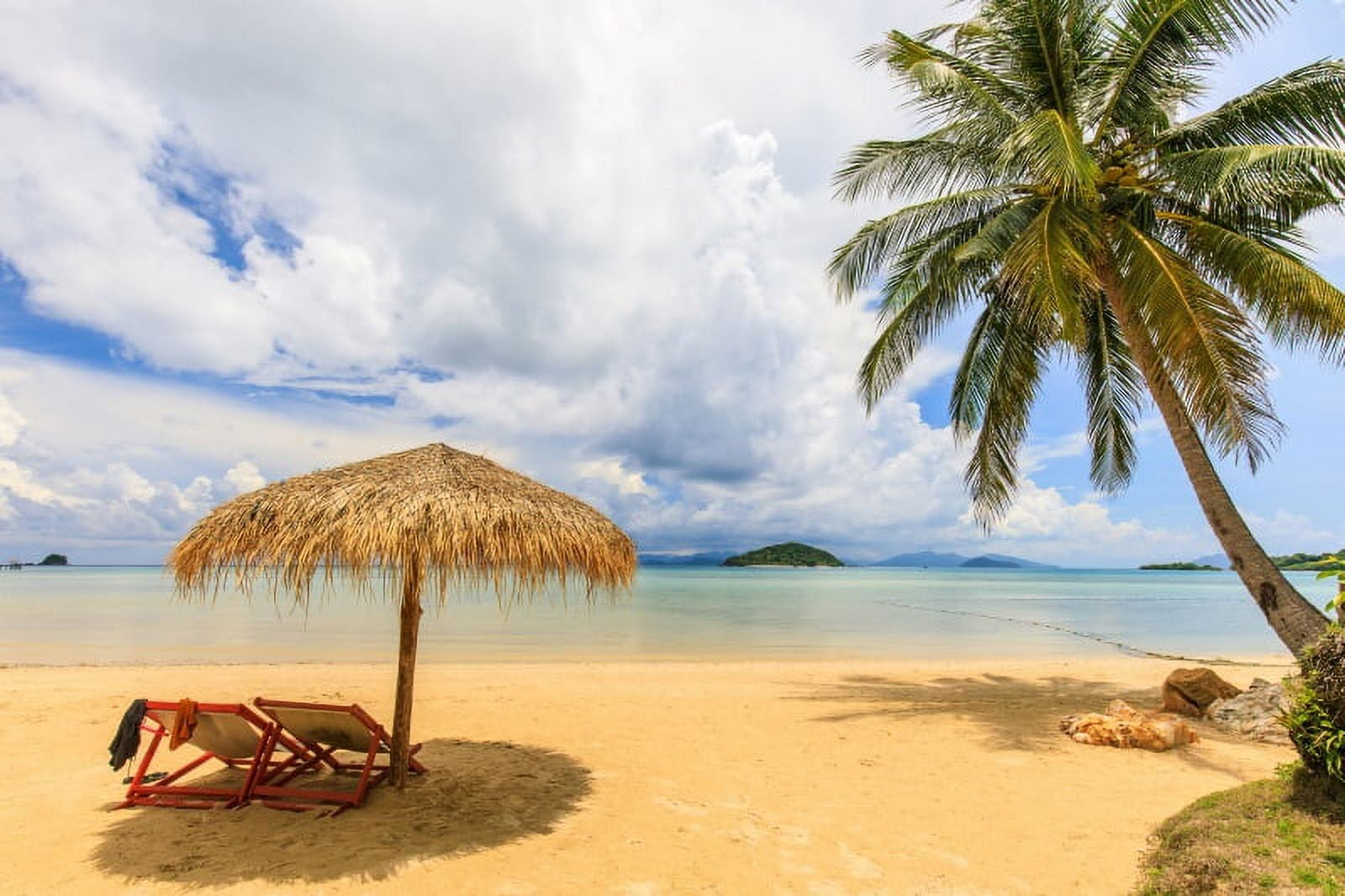 Summer Seaside Background Sunny Beach Blue Sky Cruise Tropical Palms ...
