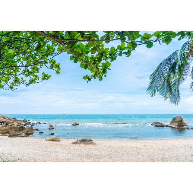 Summer Seaside Background Sunny Beach Blue Sky Cruise Tropical Palms ...