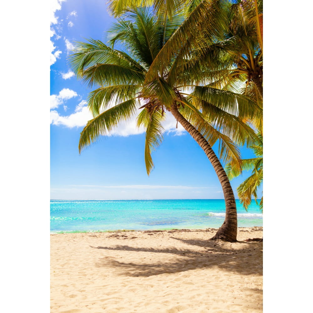 Summer Seaside Photography Backdrop Hawaii Tropical Palm Tree Blue Sky ...