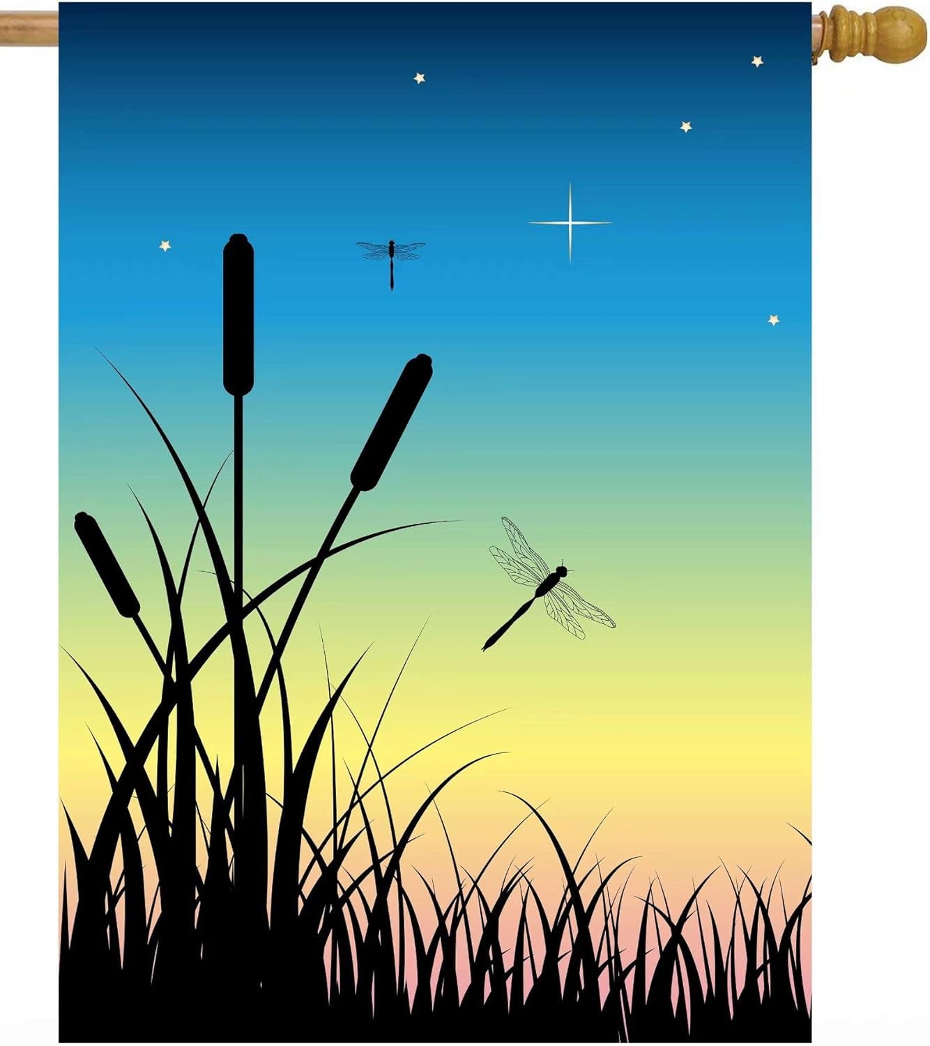 Summer Spring Scenery Dragonfly Night Sunset Over The Swamp House Flag ...